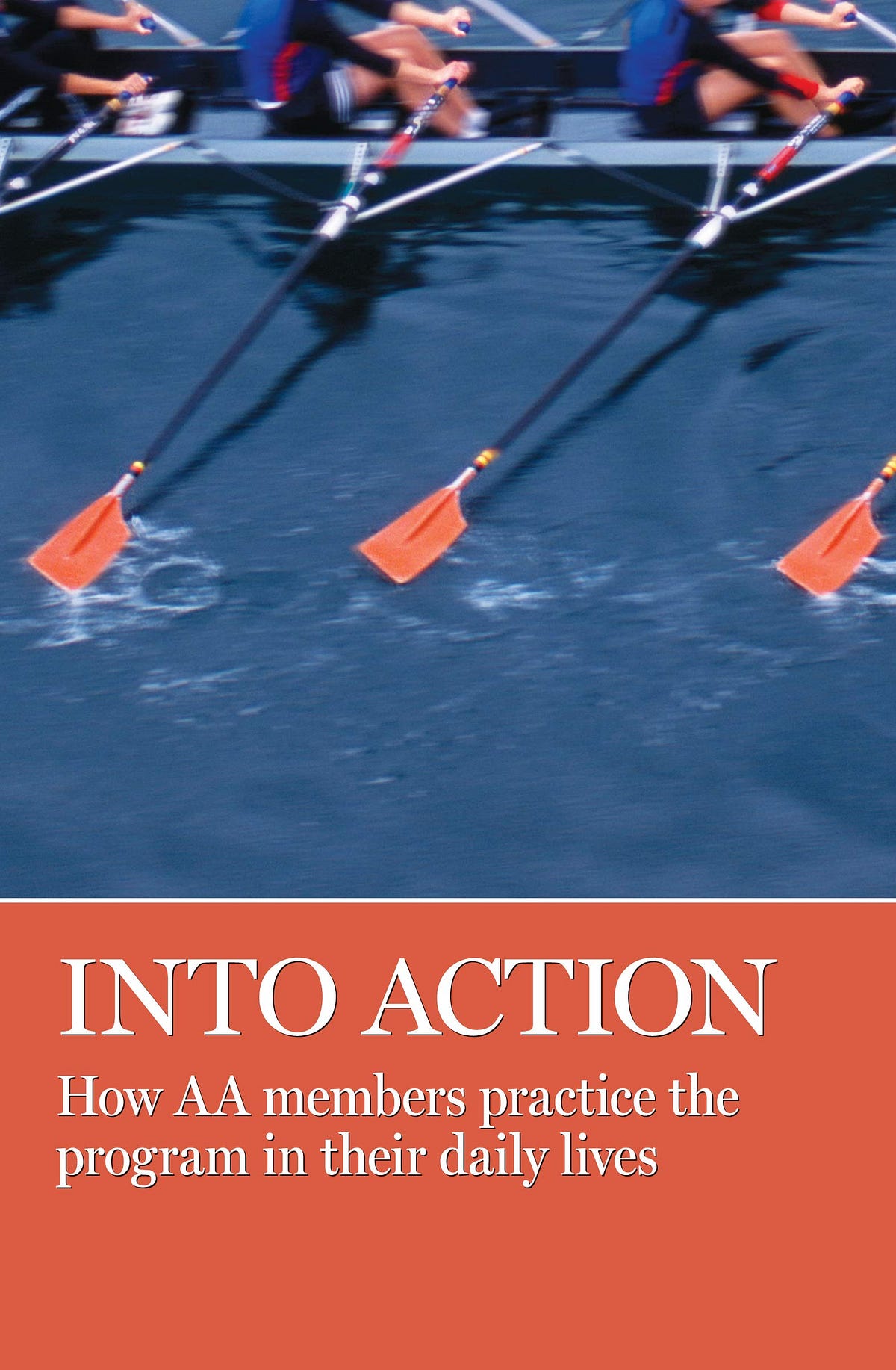 [BOOK]-Into Action: How AA Members Practice the Program in Their Daily ...