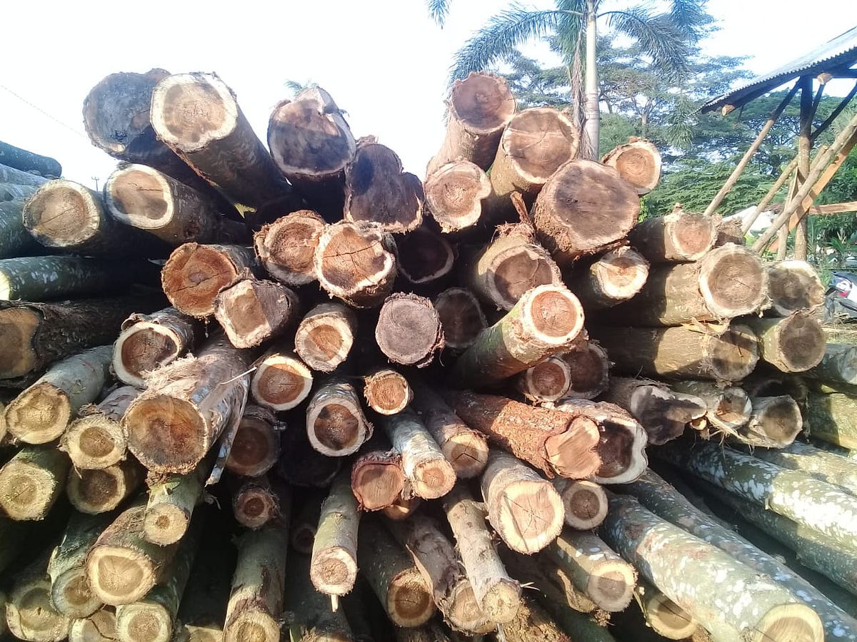 JUAL BERBAGAI JENIS KAYU. Kami menjual berbagai macam jenis kayu… | by ...