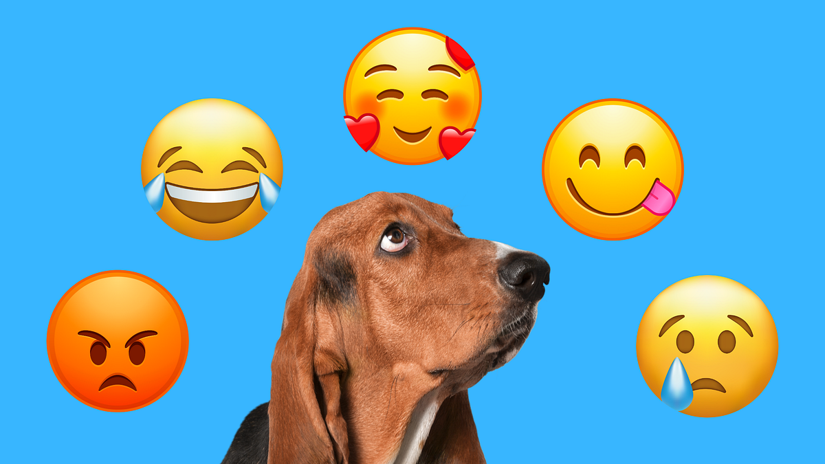 Understanding Canine Emotional Intelligence: How Do Dogs Express ...