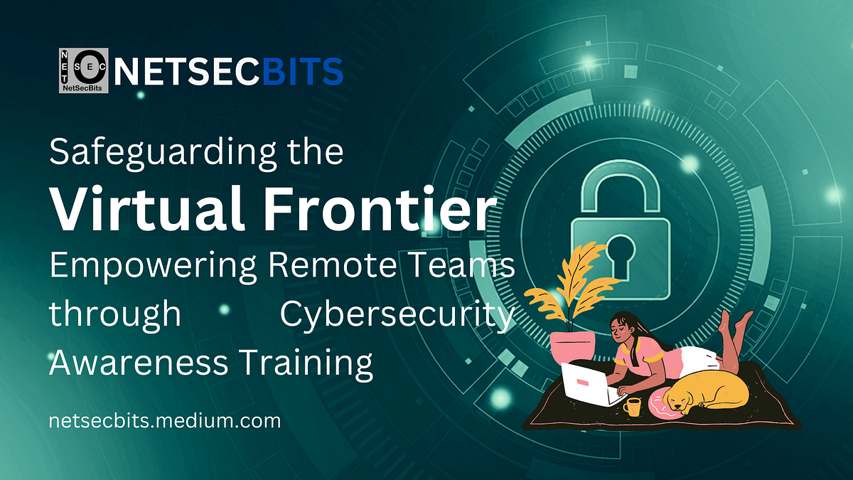 Safeguarding the Virtual Frontier | System Weakness