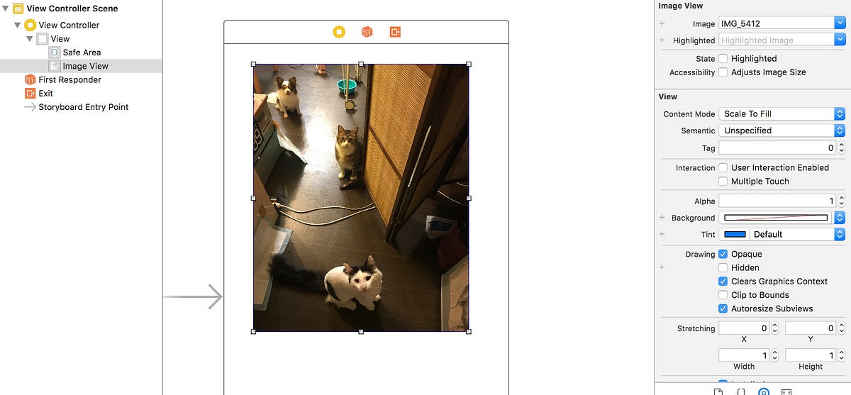 在 storyboard image view 設定的圖片莫名旋轉了 ! | by 彼得潘的 iOS App Neverland | 彼得潘的 Swift iOS App 開發問題解答集 ...