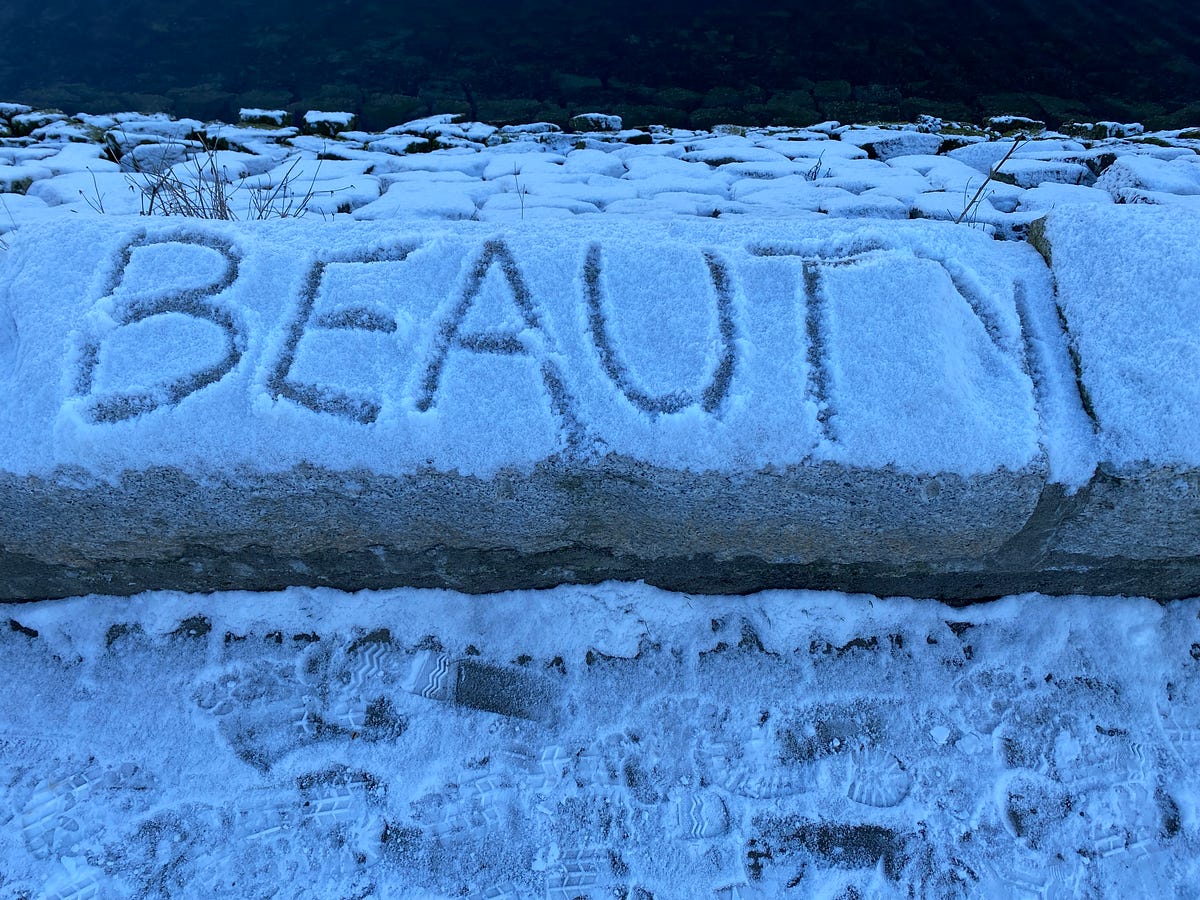 Beauty. January Six Word Photo Story Challenge… | by Mary Chang Story ...