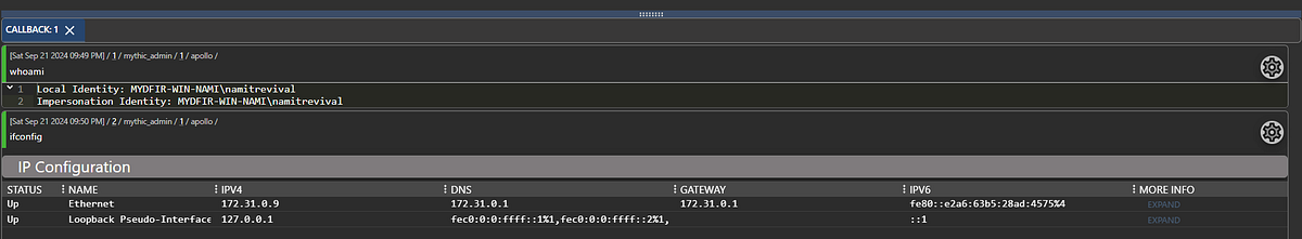 Day -21 Of MYDFIR-SOC-Analyst Challenge: Brute Force Attack & C2 Session with Mythic | by Namit ...