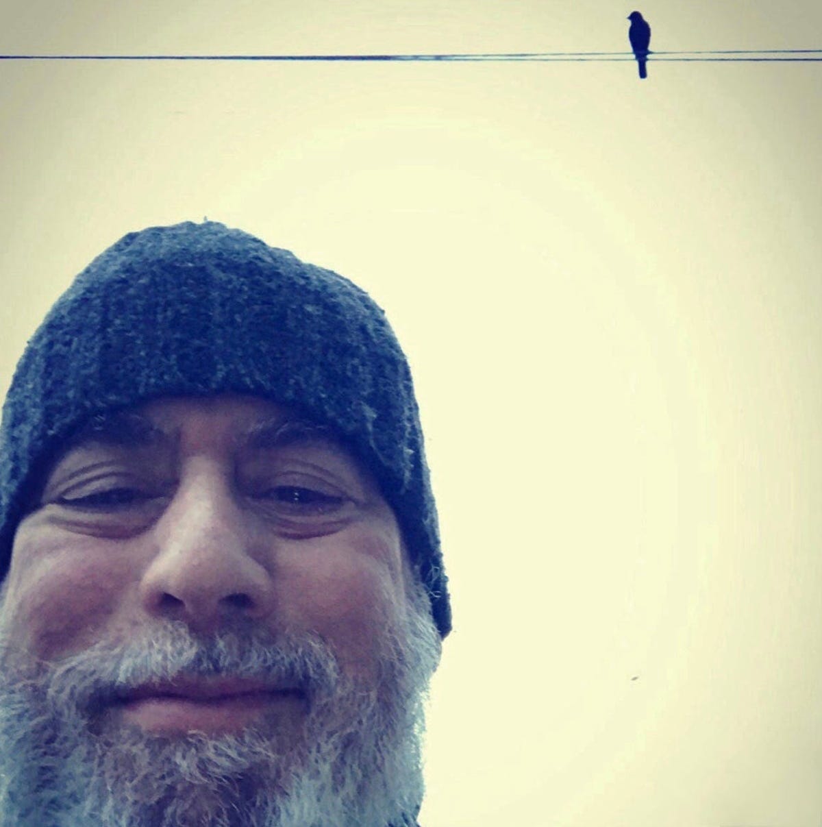 With the Guidance of a Crow. The many sides of my spirit animal | by ...