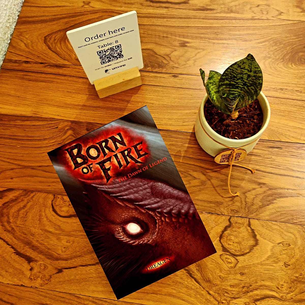 Book Review: Born of Fire: The Dawn of Legend by Dreagen | by Niel ...