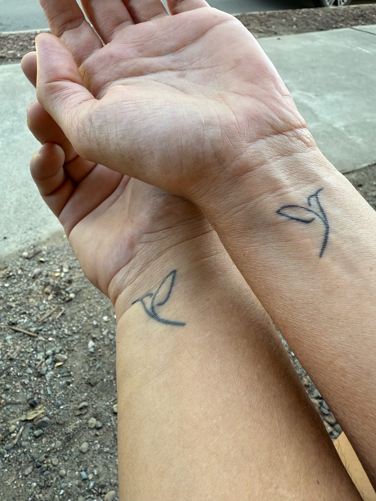 The Injured Bird. I loved her wings more than my own. | by FoxMartin ...