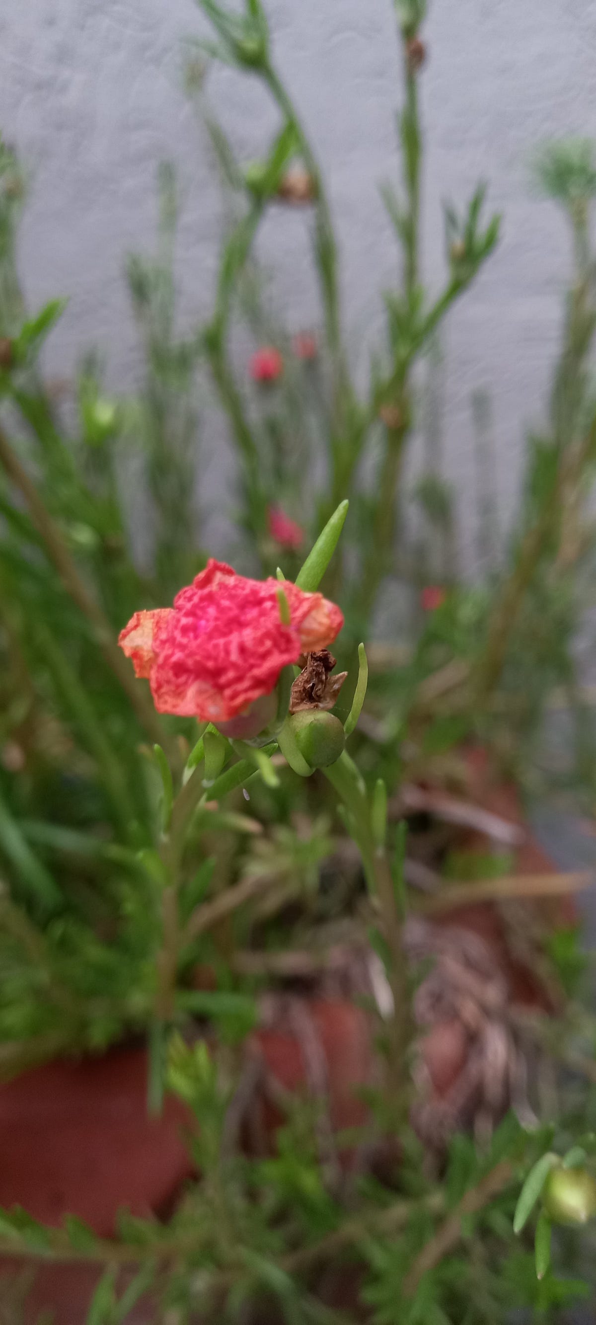 The Marks We Leave Behind. “How Small Acts Stay Long After We’re… | by ...