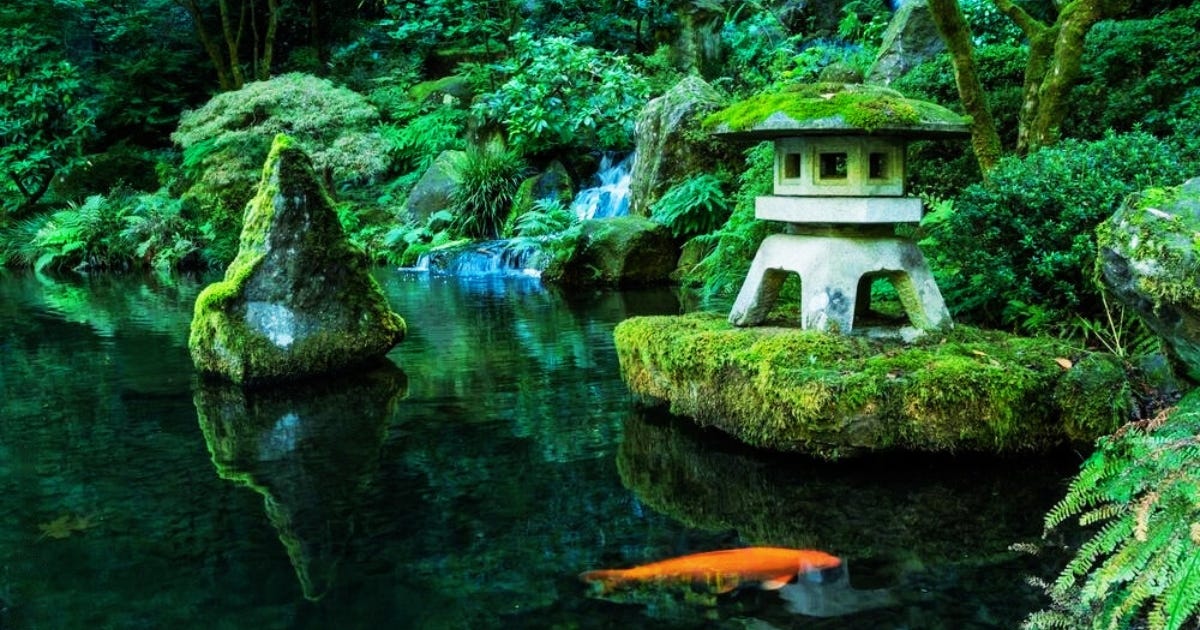 7 Breathtaking Portland Waterfall Tours That Will Leave You Amazed ...
