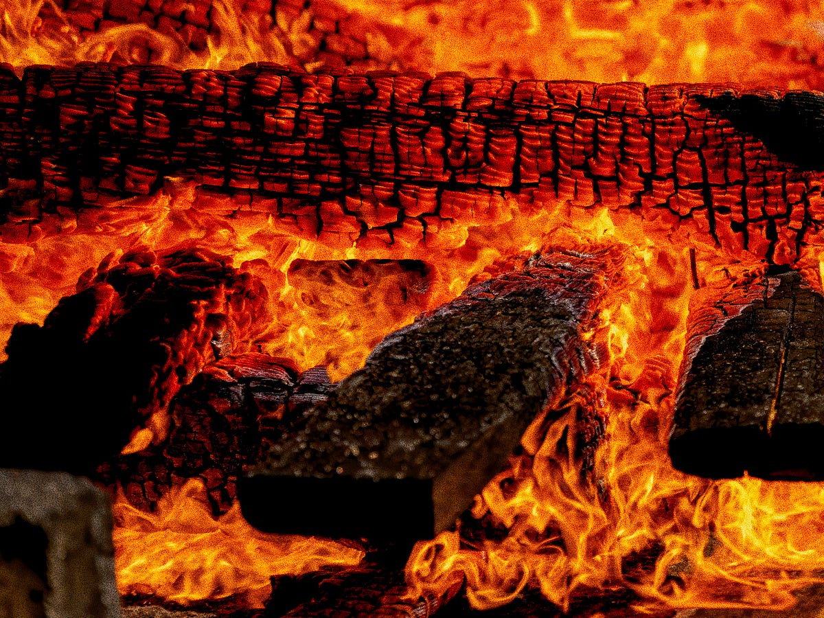 The Big Burn and the Fires in the West | by Lee G. Hornbrook | Pollen ...
