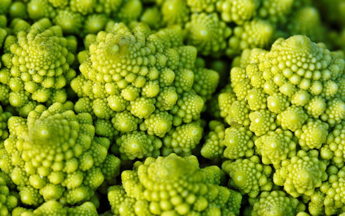 4 Fractals in our daily life. Fractals are fascinating and there’s a ...