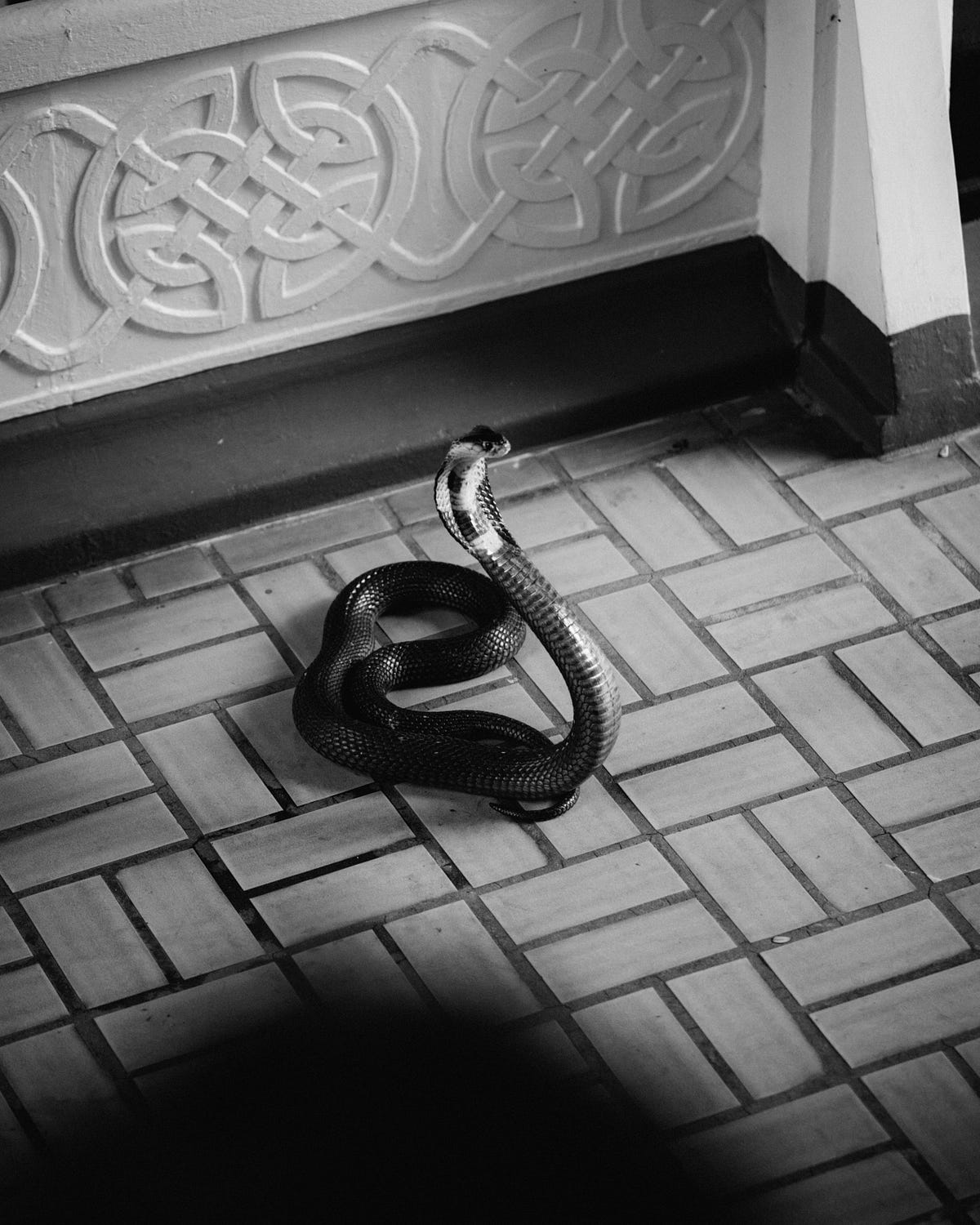 Untitled Musings Regurgitated on 4/19/2021 | by Paul G Kist | Master of ...