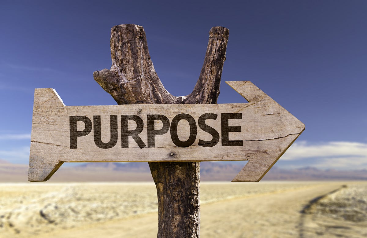 Understanding Your Purpose. The two most important days in your… | by ...
