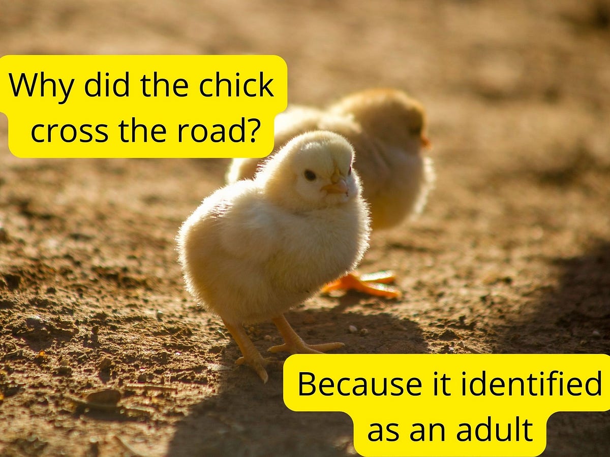 27 Hilariously Bad Chicken Crossed The Road Jokes To Brighten Up Your ...