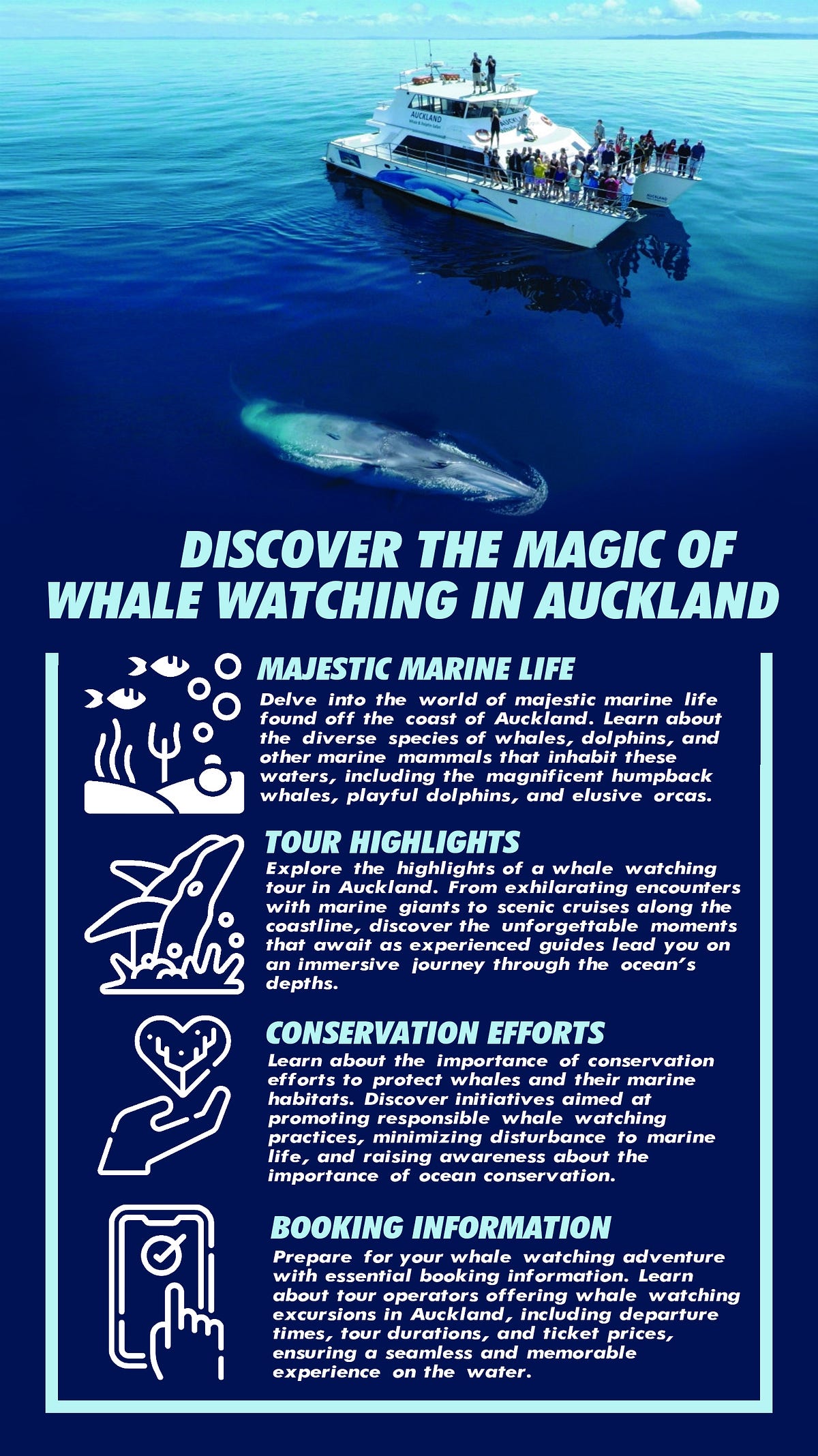 Discover the Magic of Whale Watching in Auckland - Camille Agalon - Medium