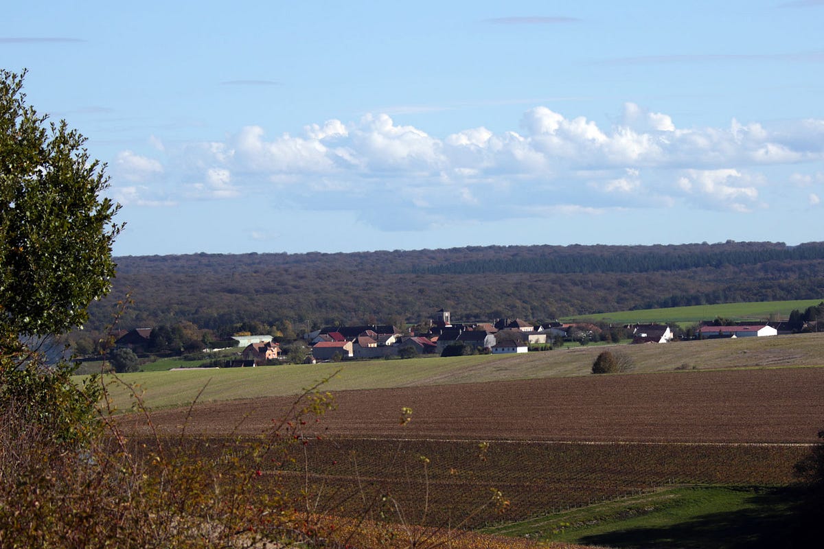 Picnic on Plateau de Blu, France. Let’s save the bugs time and effort ...
