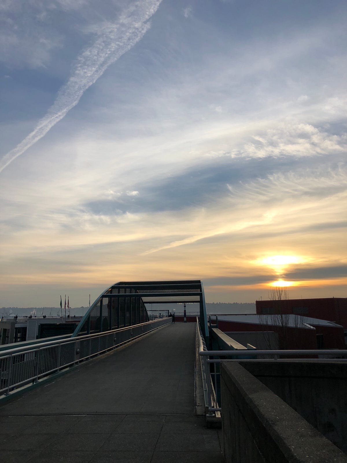 Finding a path.. I use “a path” instead of “your path”… | by Erika ...