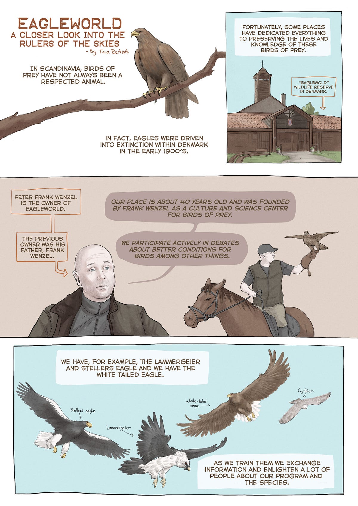 An Eagles World in Denmark. A closer look into the rulers of the… | by ...