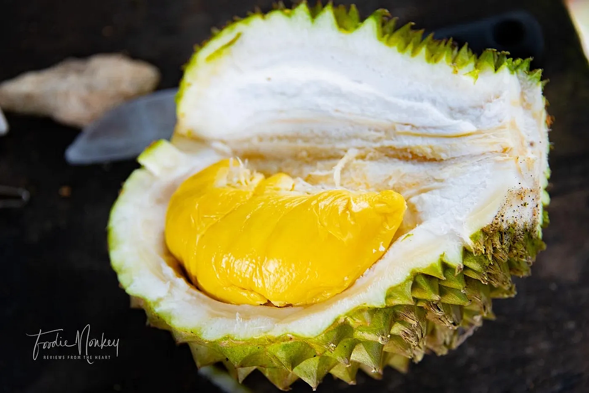 24 Hours Life of A Durian Farmer| Monk3yseendo | MONK3YSEENDO