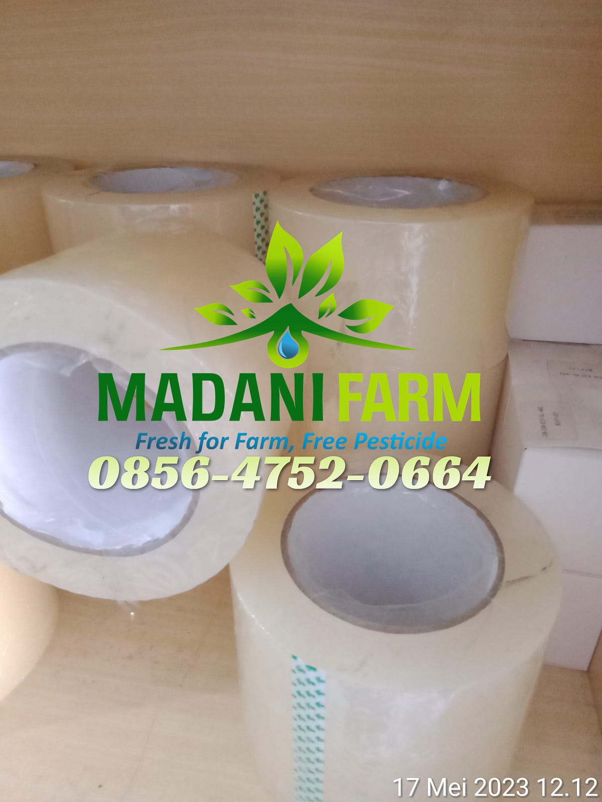 Isolasi / Lakban UV Spesifikasi Barang & Harga : - Lakban UV Import ...