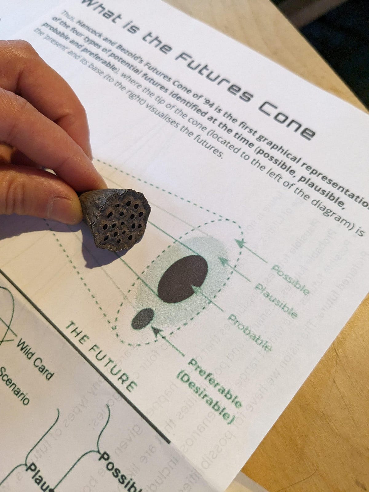 Reading & Seed-Dating: May 2025. “ARE SEEDS TIME TRAVELLERS? WHAT ARE ...