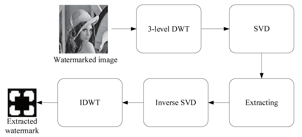 Beyond the Surface: Embedding Trust with Image Watermarks in Healthcare ...