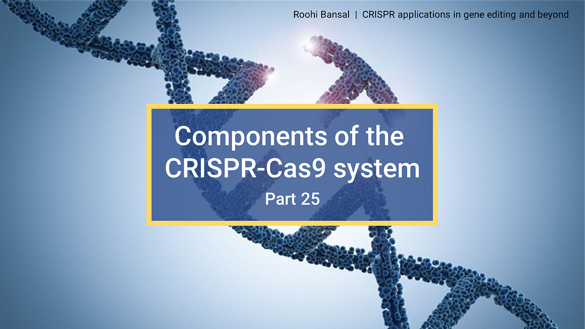 Components of the CRISPR-Cas9 system (Part 25- CRISPR in gene editing and beyond) | by Roohi ...