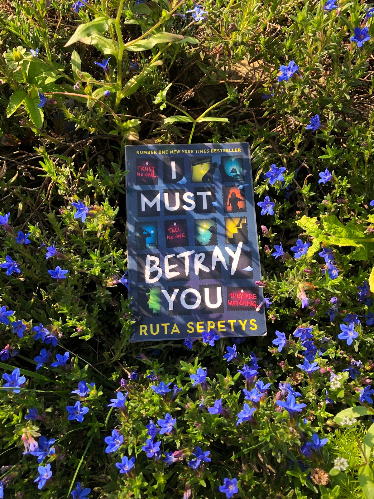 Book review: I must betray you by Ruta Sepetys - Hooked on Books - Medium