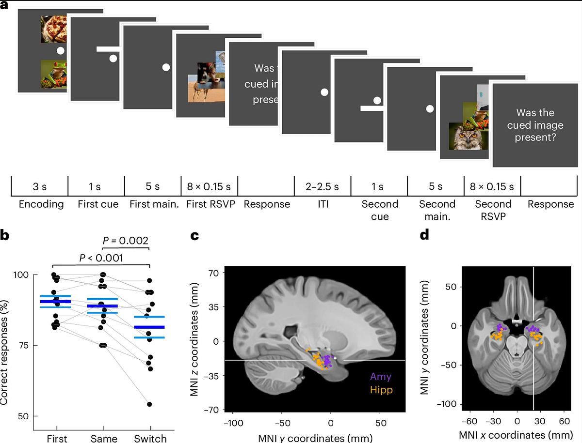 Unattended Items in Working Memory: The Role of Persistent Activity in ...