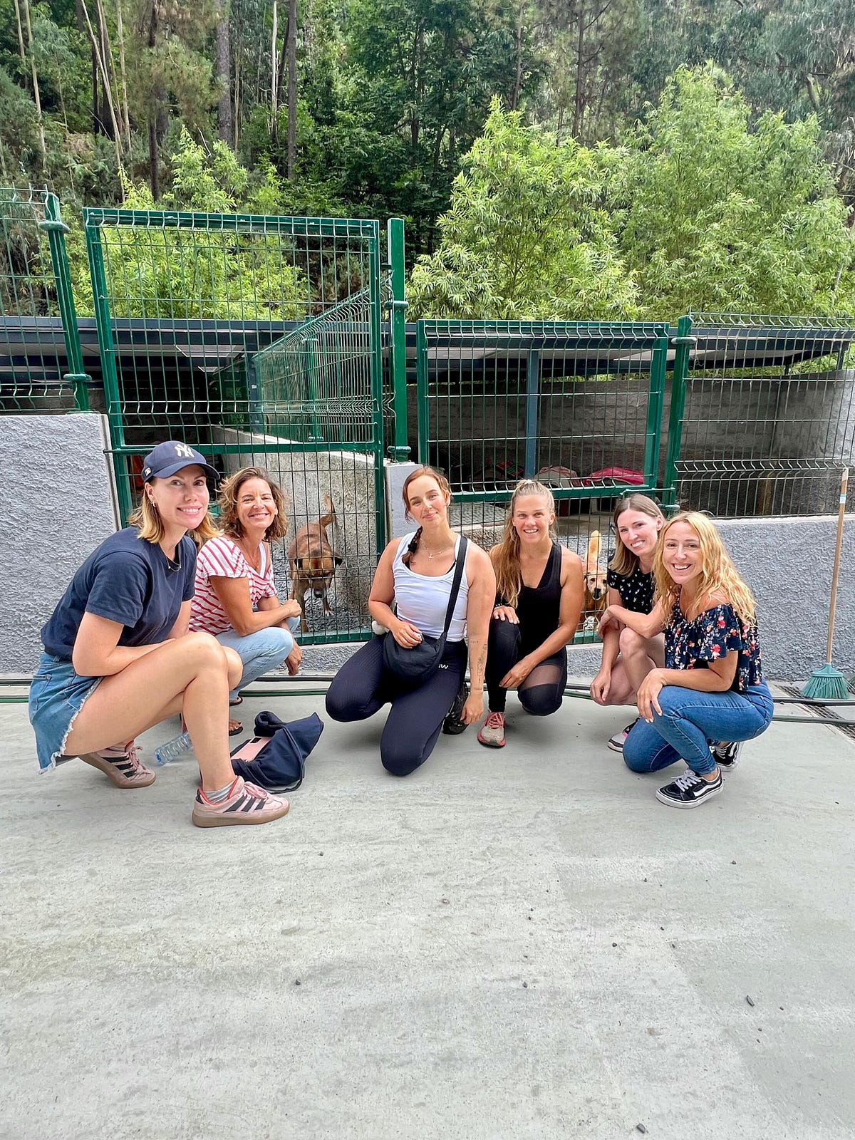Madeira Friends visit Funchal Kennel 🐾 | by Madeira Friends | Aug, 2025 ...