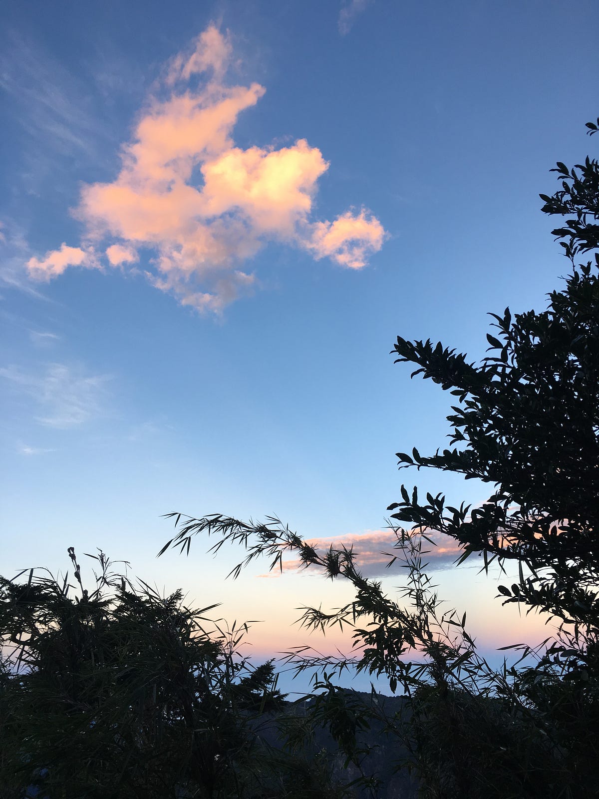 Climbing. 7:30 a.m. | by Victoria Chiu | Medium