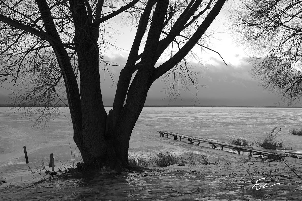 Fading away - Roman Belugin - Medium