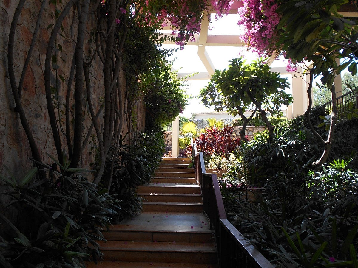 sweet nectar: honey and poison. "syrup drips at the sound of his name ...