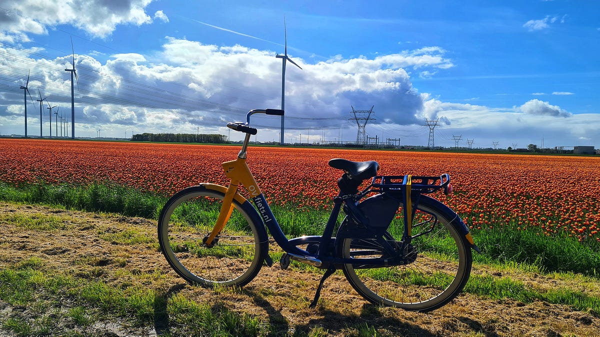 A Rainy Adventure in Dronten. Exploring the Dutch countryside amidst ...
