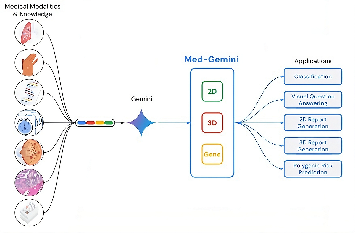 Exploring Med-Gemini: A Breakthrough in Medical Imaging AI: Datasets ...