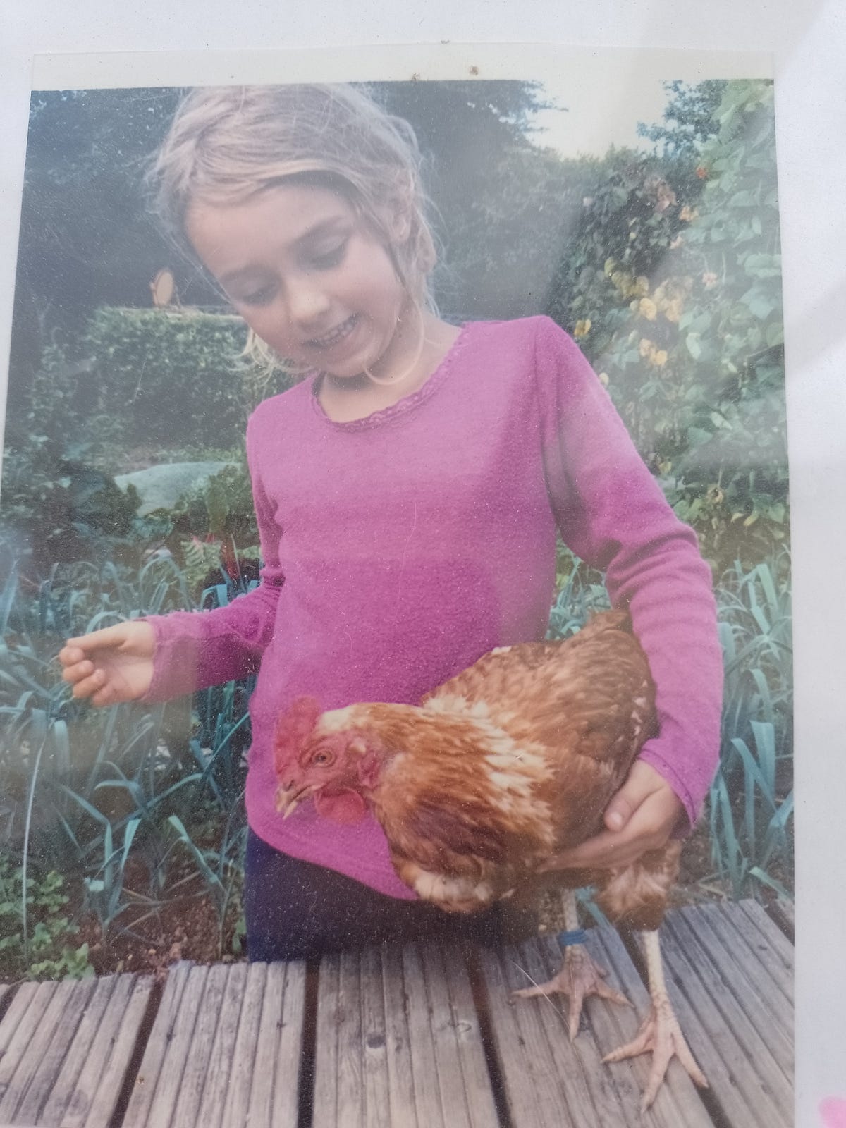 SAVE CHICKENS LIVES 🥺 ️🐔🐣. Do your part in saving battery farm… | by ...