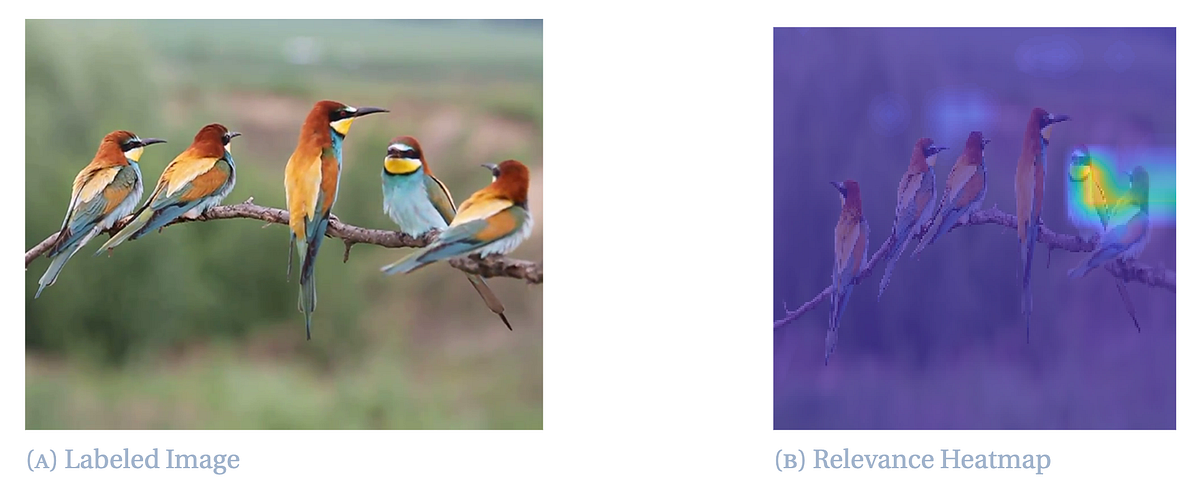 Experiment Result — Explainable AI and Visualization (Part 13) | by ...