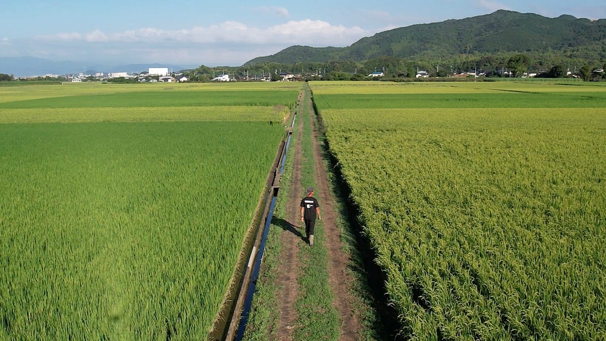 About Natural Farming In Nippon 2024 | by Kengo Yamada | Medium