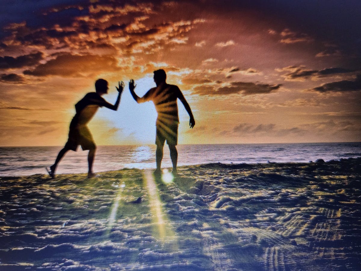 A BEST FRIEND, THE EMOTIONAL SUPPORT WE ALL NEED. | by John Bouley | Medium