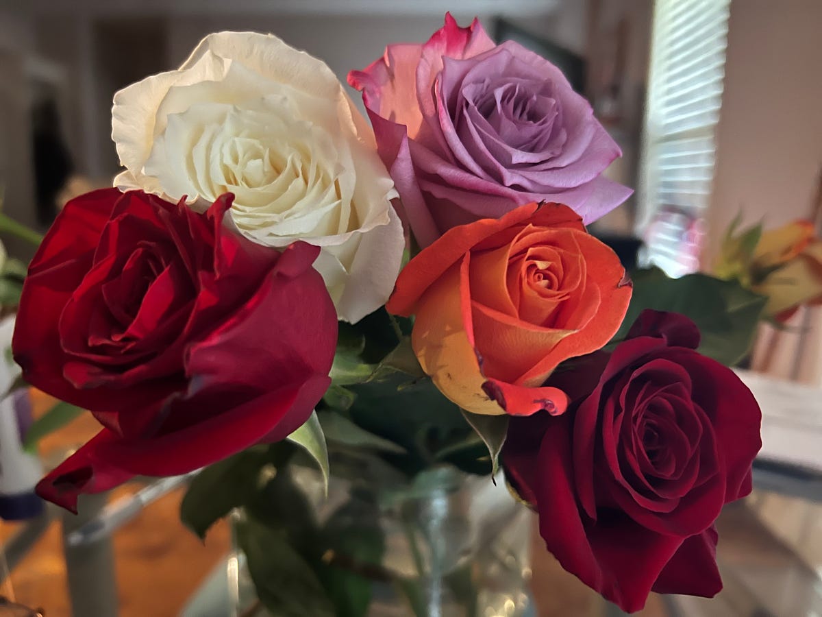 Being A Bad Mom. Getting Better at Life Helps Me Get… | by Coach Donna ...