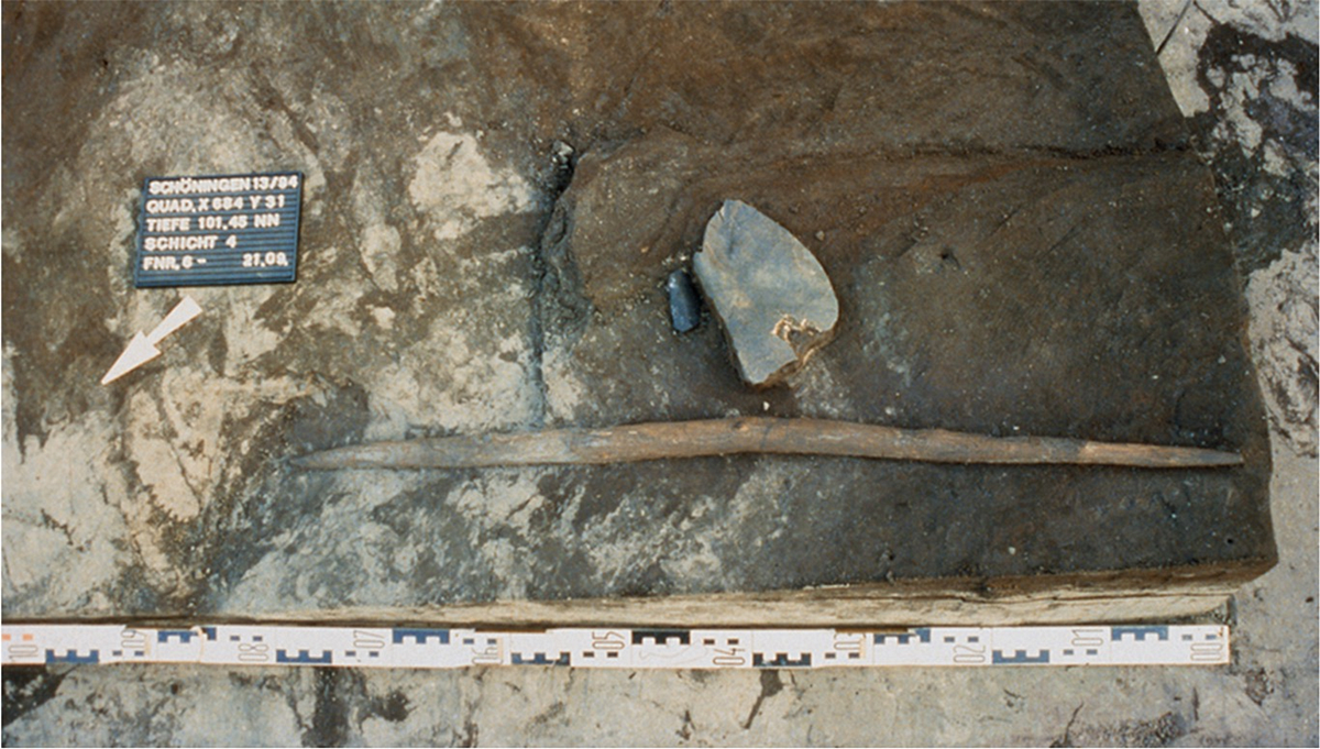 Ancient Wooden Weapons Show Our Ancestors Were Organized And Creative ...