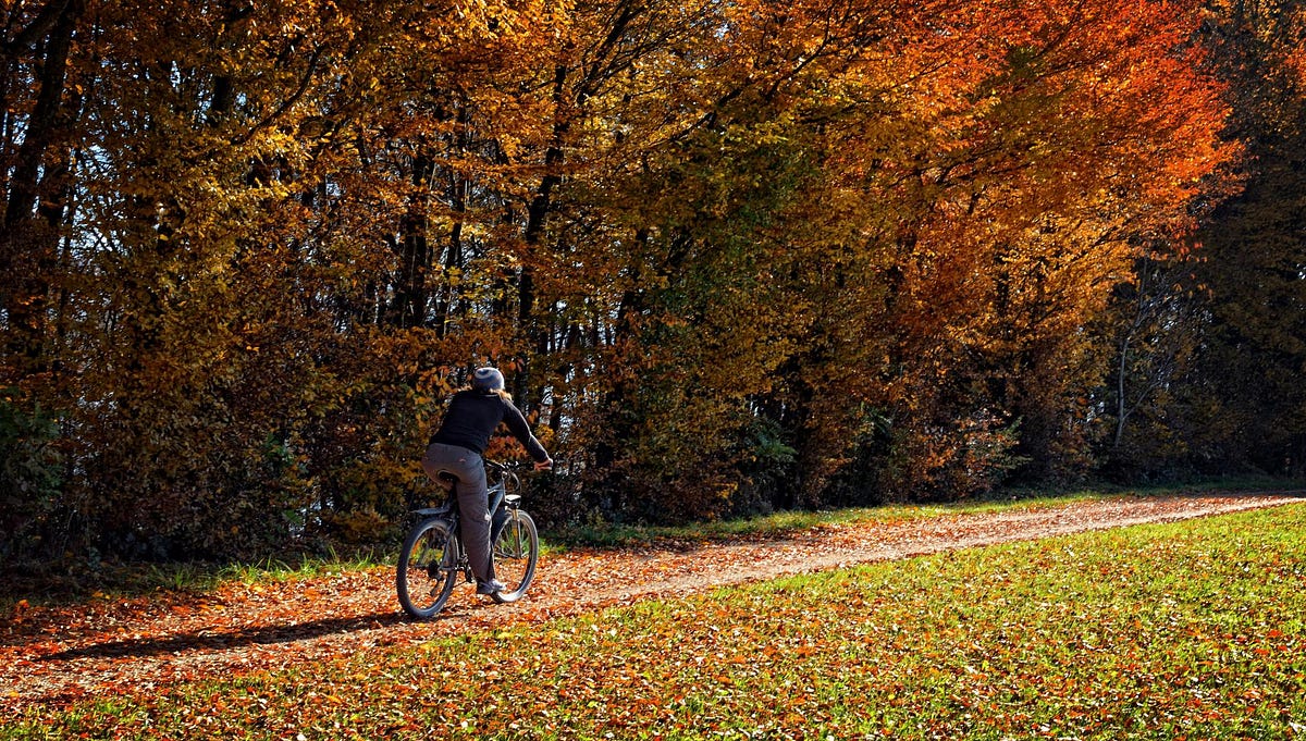 Are you ready for autumn cycling? | by Lvbu.Tech | Aug, 2023 | Medium