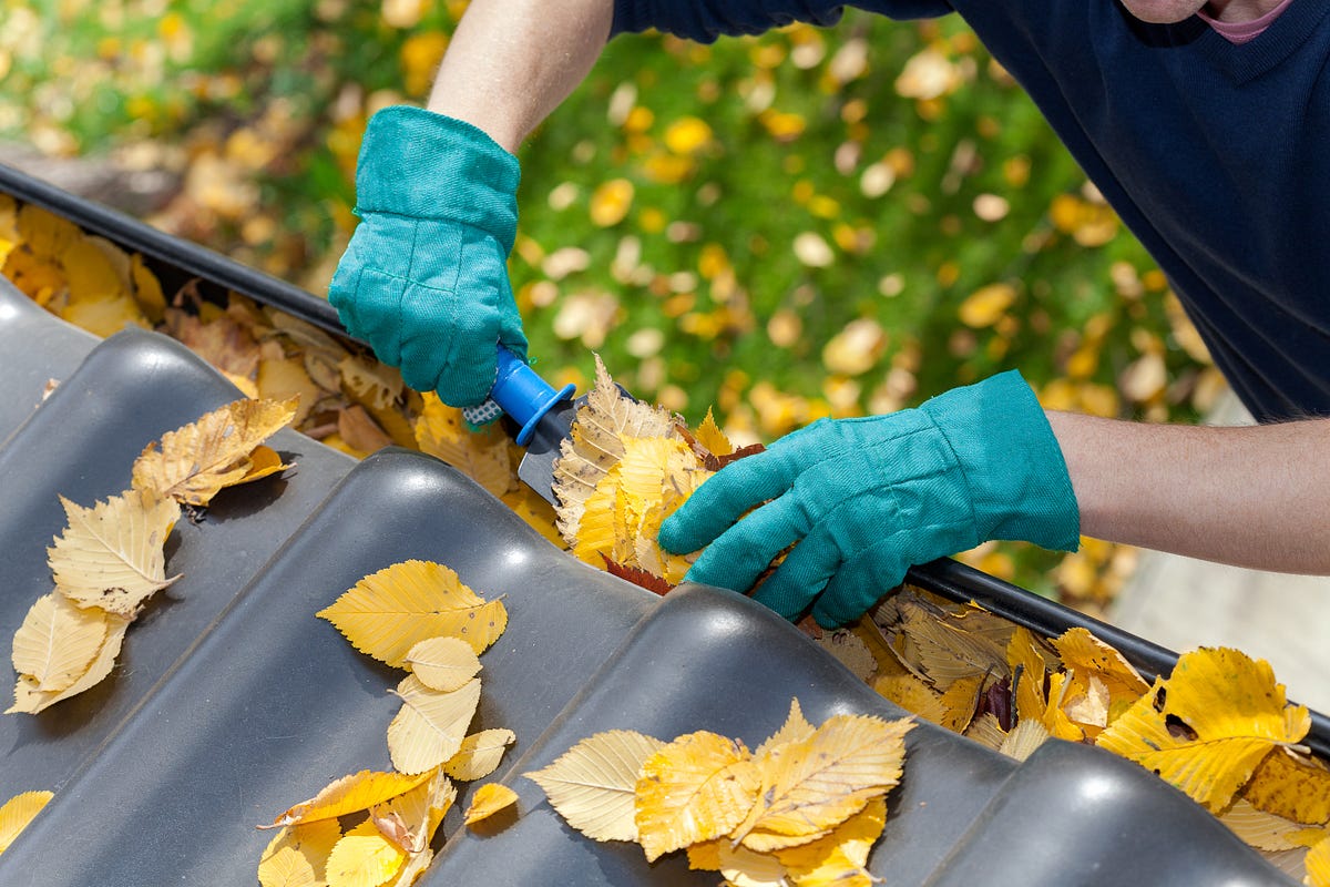Elevate Your Property’s Protection: Understanding the Importance of Gutter Cleaning Services ...