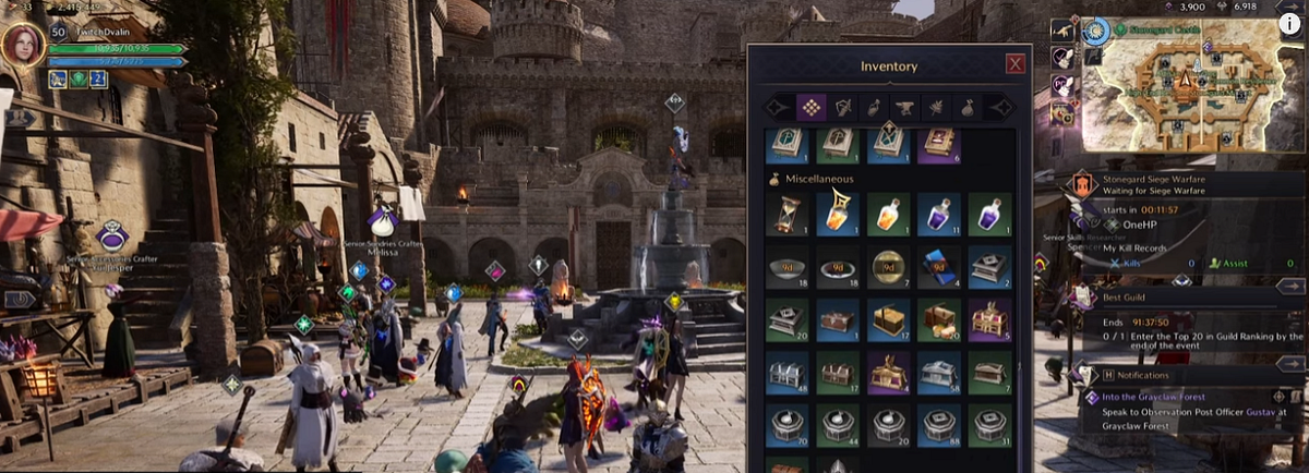 Inventory Management in Throne and Liberty | by Millanmyra | Medium