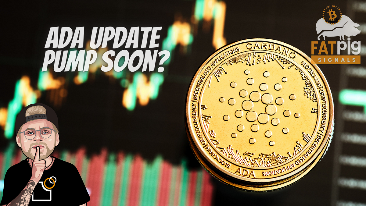 3 Reasons For Big ADA Coin Accumulation & SundaeSwap Update | by ...