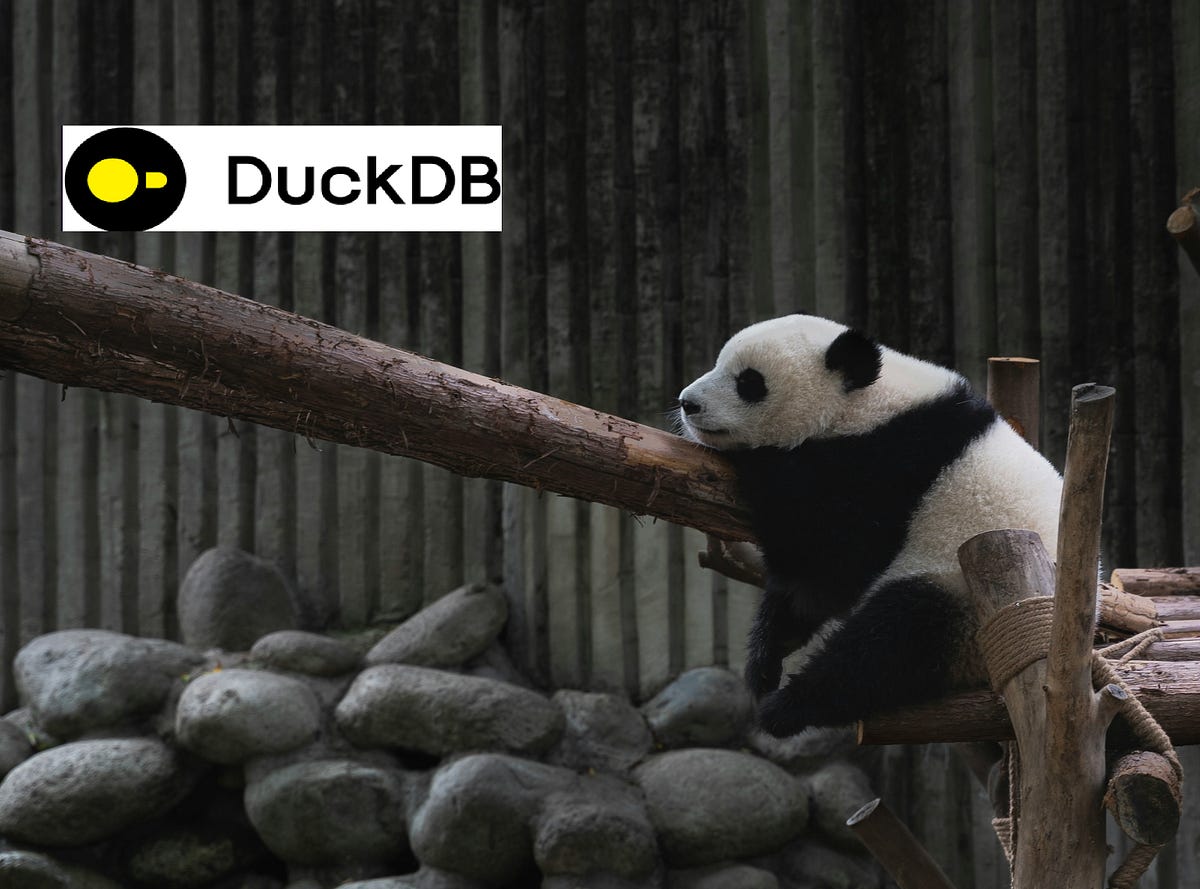 Still Stuck with Pandas? Discover DuckDB — A Library That’s 20x Faster ...