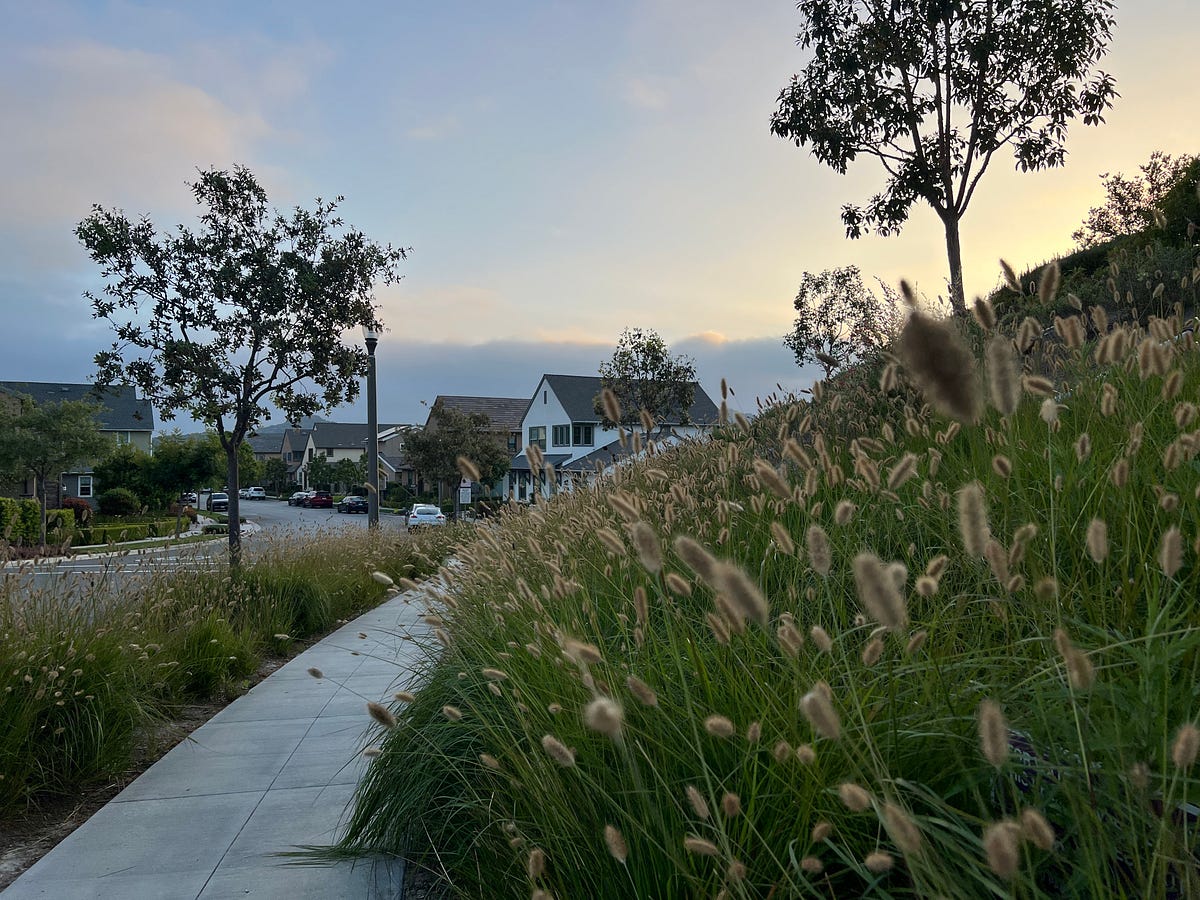 A Cloudy Spring Evening Walk. Sensory joys all around for the curious ...