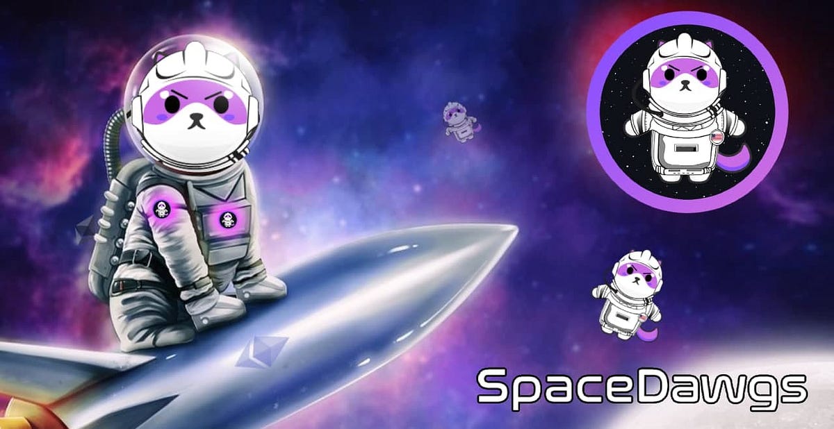 Dawgs in Space. A new cryptocurrency was officially… | by SpaceDawgs ...