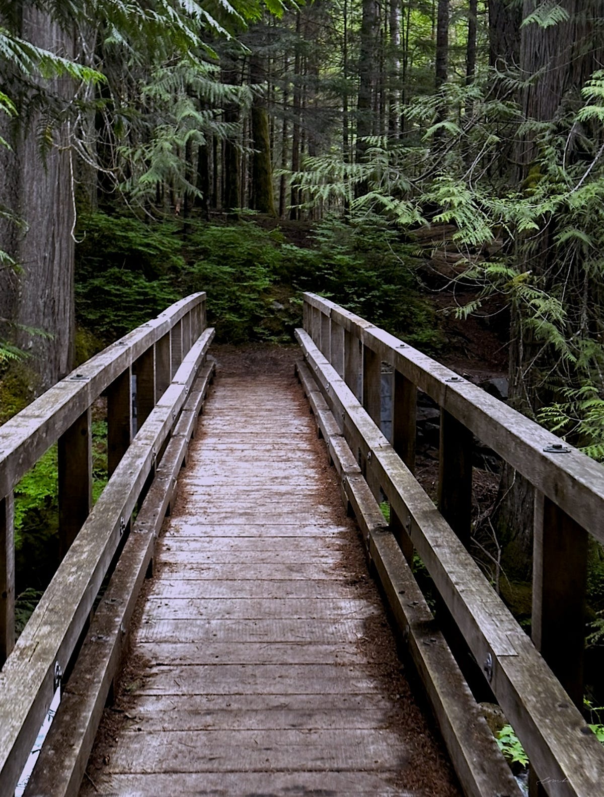 No Longer To Remain. The Loss of the Gain — a Poem | by A.M. Pierson ...