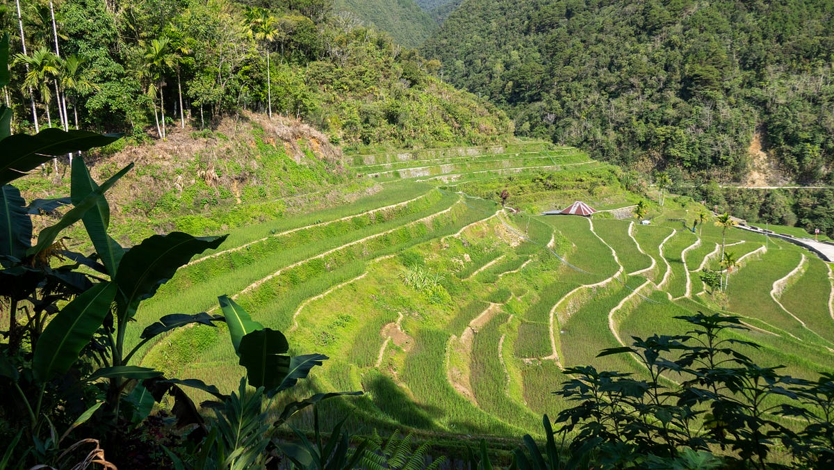 The Jar That Came from Heaven. A Folktale from Hungduan, Ifugao… | by ...