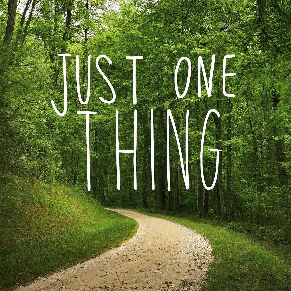 Just One Thing at a Time. In the tapestry of our daily lives… | by ...